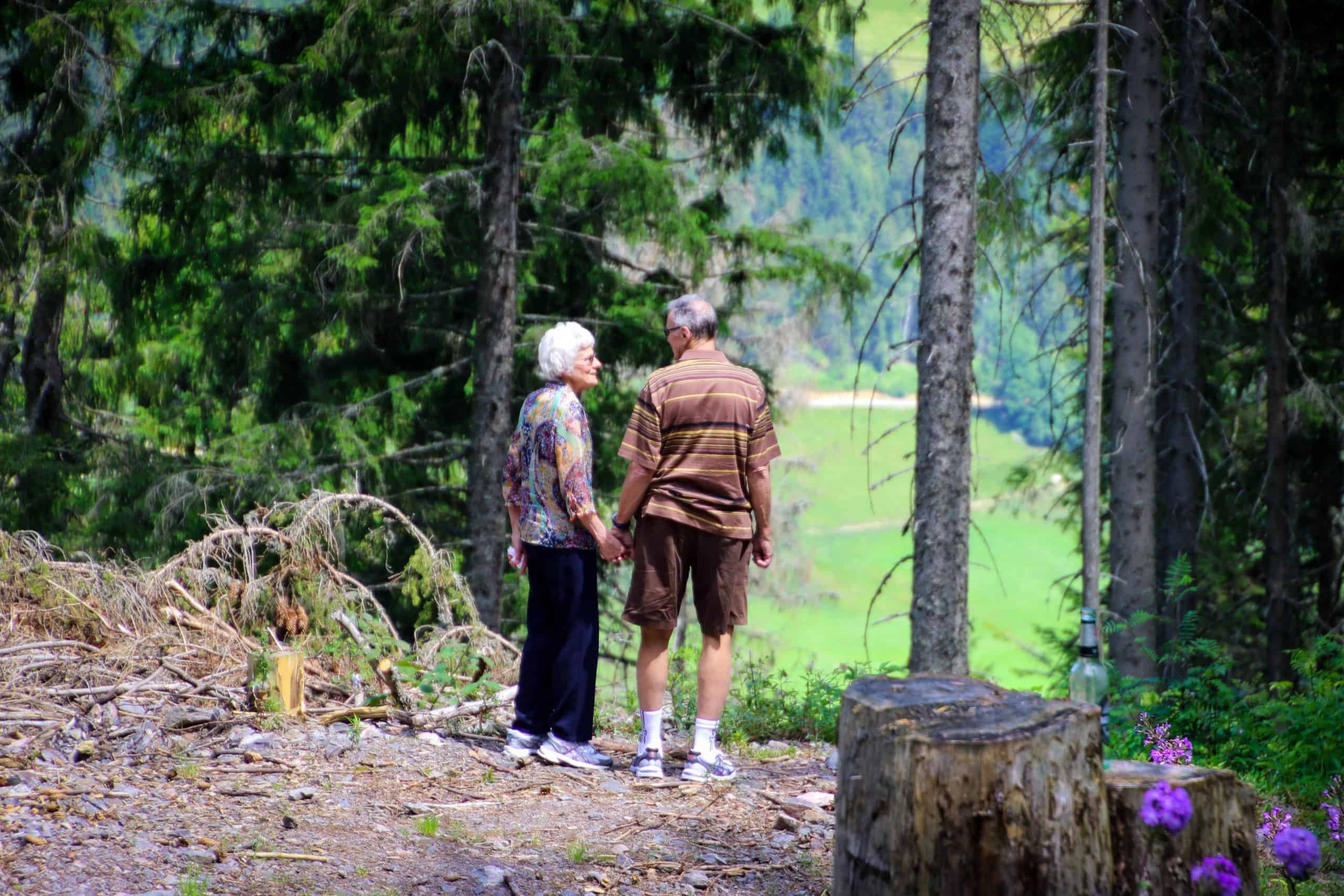 9 Great Hobbies For Elderly Folks With Dementia 2021 Aging Greatly 9-great-hobbies-for-elderly-folks-with-dementia-2021-aging-greatly